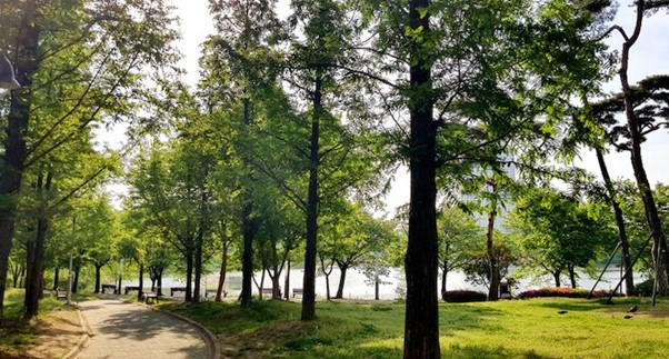 The Ultimate Guide to Visiting Suwon in South Korea | Korea Tours by Aaron