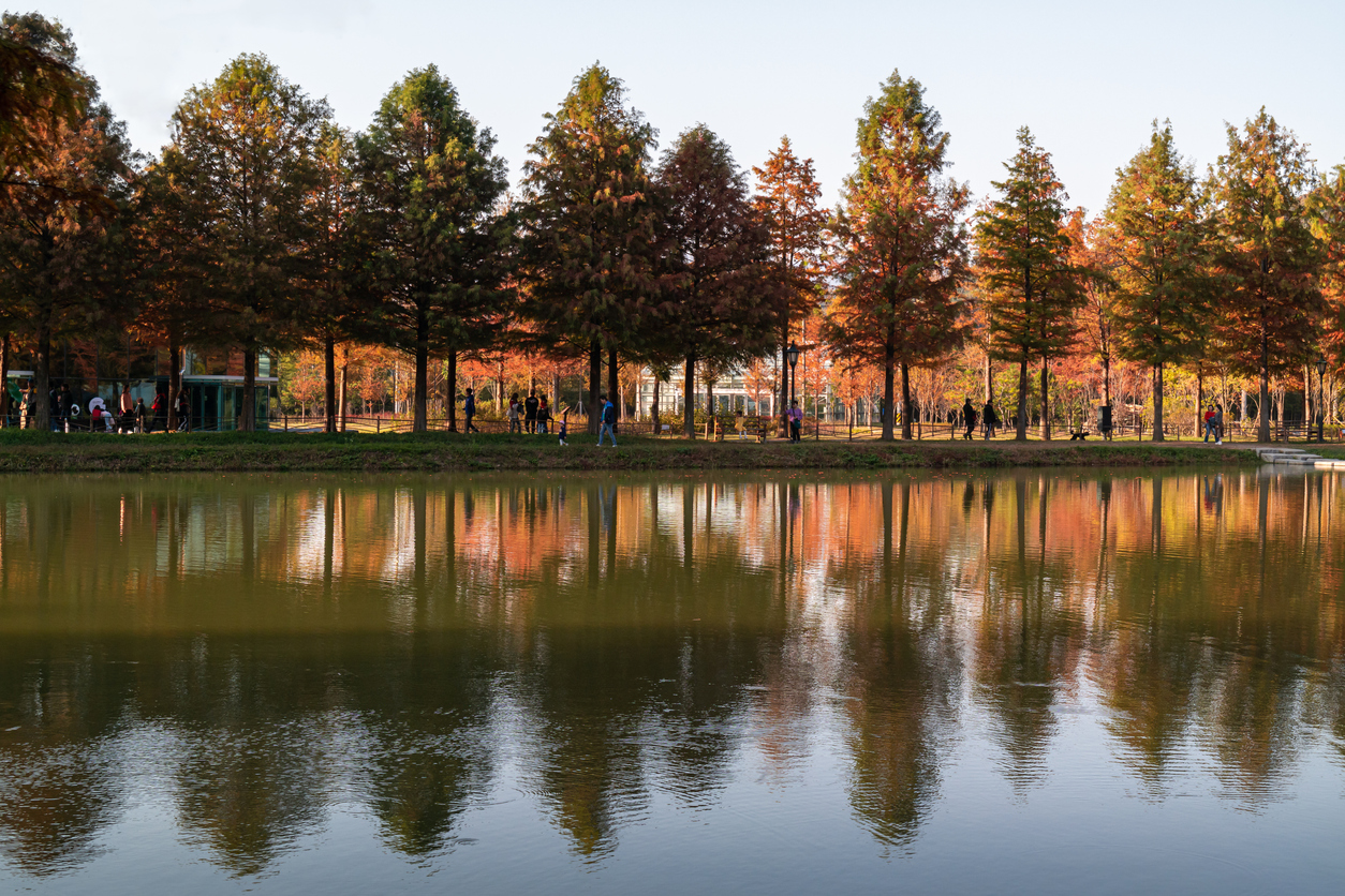 Damyang County: Ideal Overnight Provincial Trip in South Korea